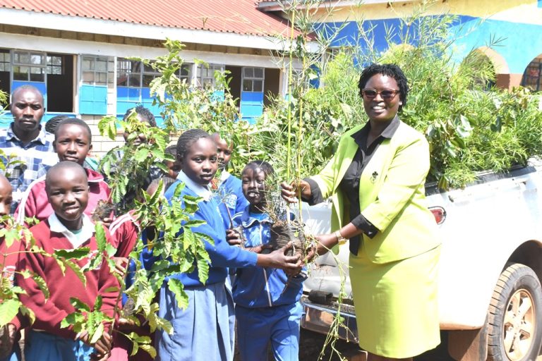 Understanding the new KNEC/KCSE examination grading system - Education ...